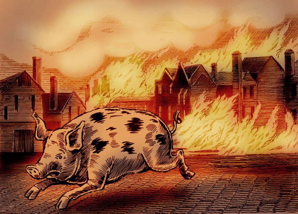 Flaming pig – Eric Smith Illustration